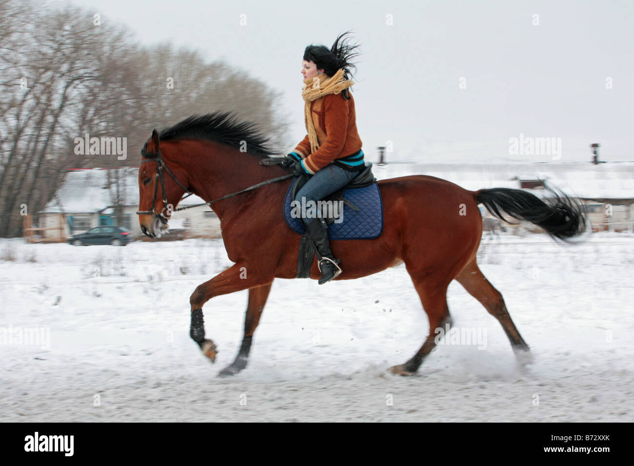 Horse rider galloping hi-res stock photography and images - Alamy