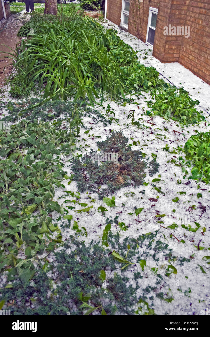 Hail in Chicago Stock Photo - Alamy