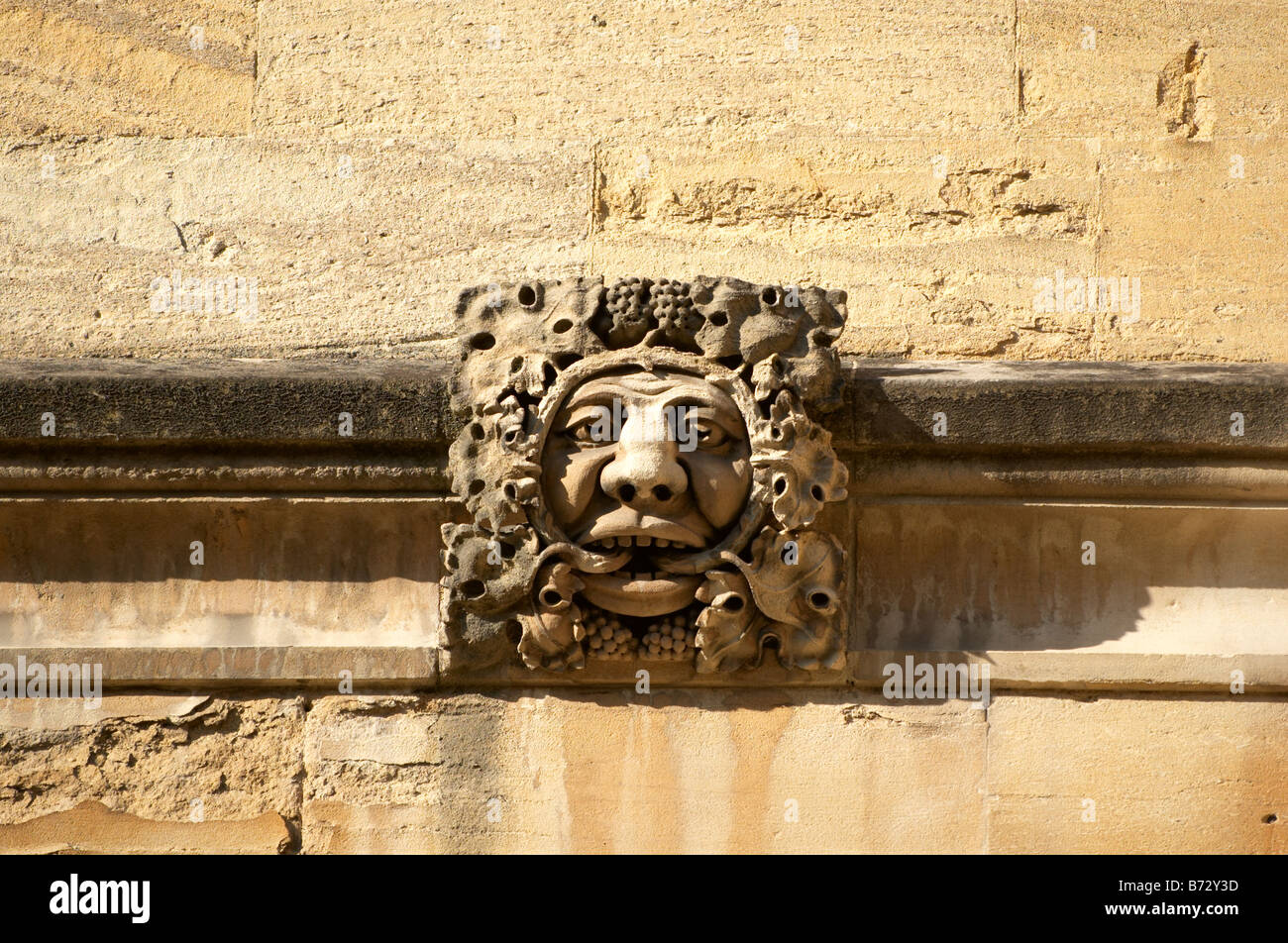 Grotesque ornament hi-res stock photography and images - Alamy