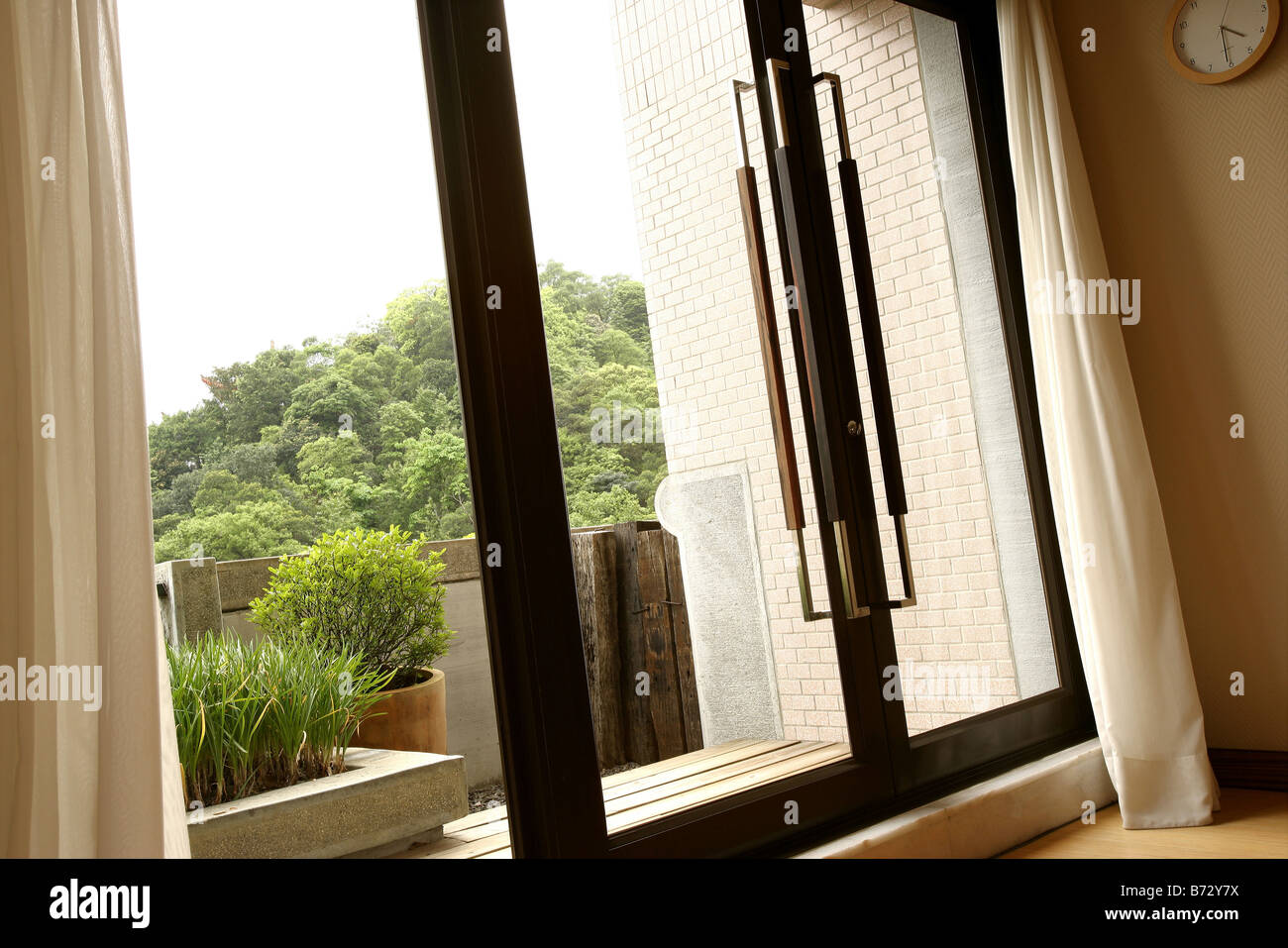 Window Curtain Tree Stock Photo - Alamy