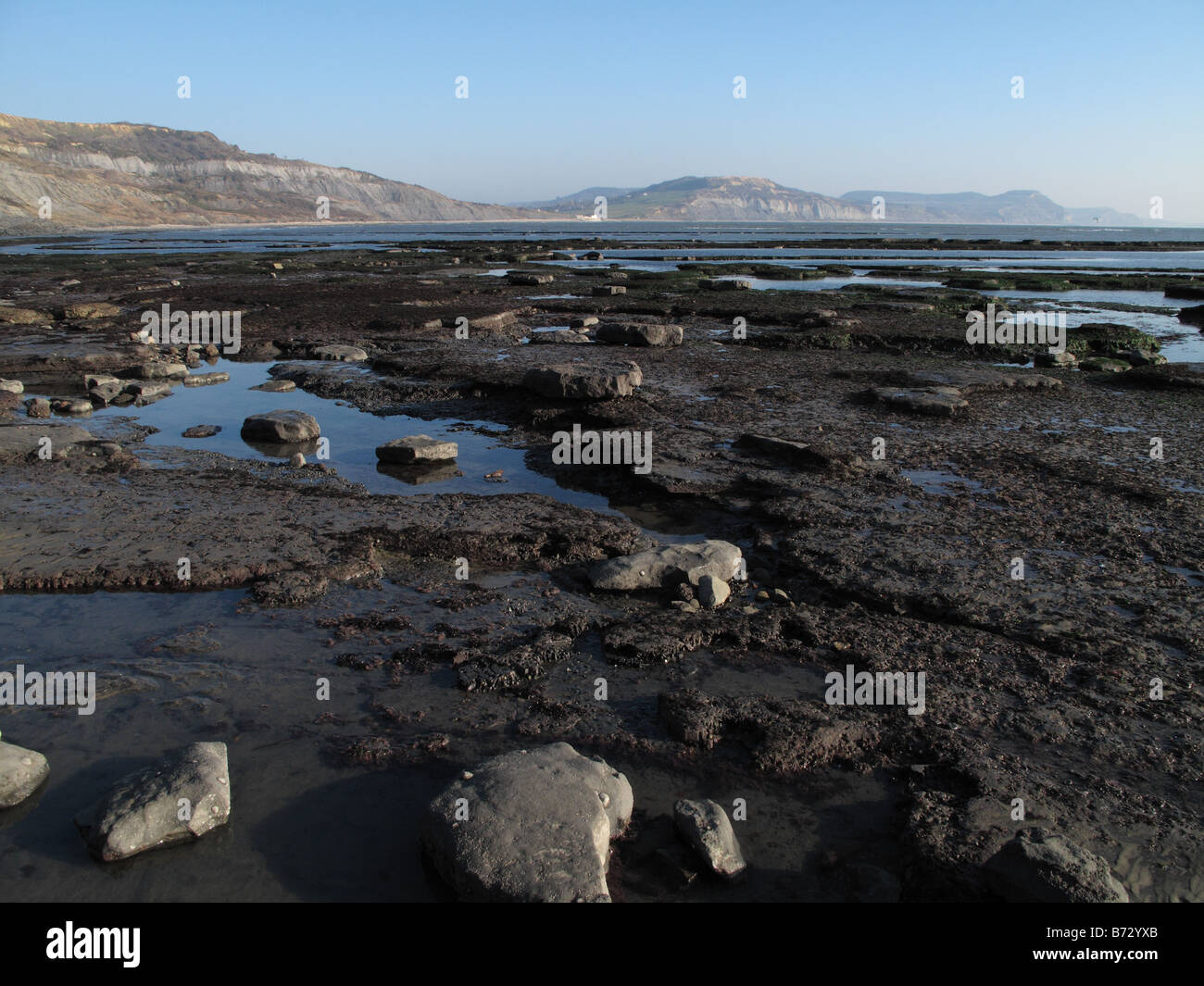 Rock pool uk hi-res stock photography and images - Alamy