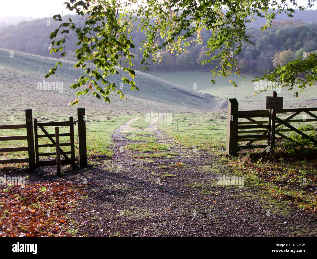Open farm gate hi-res stock photography and images - Alamy