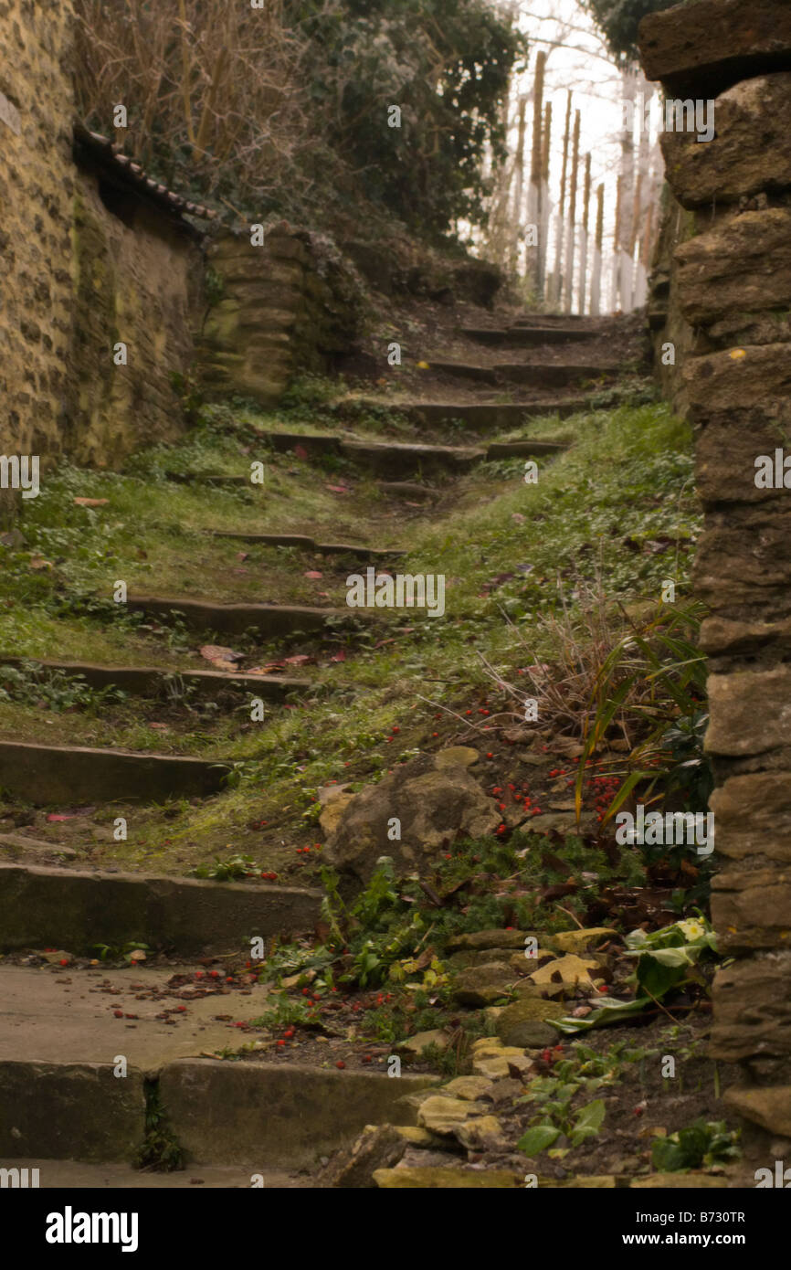 Overgrown Steps High Resolution Stock Photography and Images - Alamy