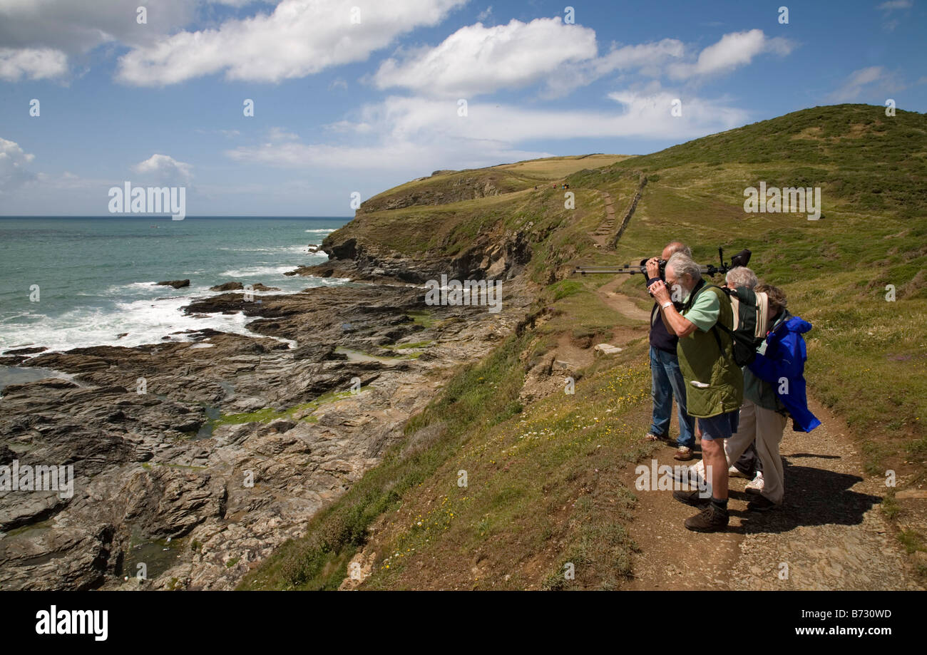 bird watching from pentire point cornwall Stock Photo - Alamy