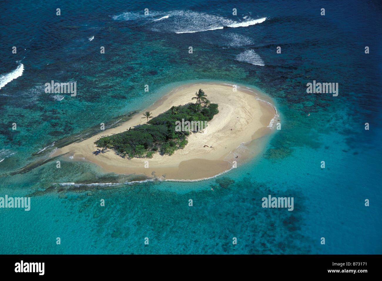 tiny sandy island with palm trees surrounded by reef Stock Photo - Alamy