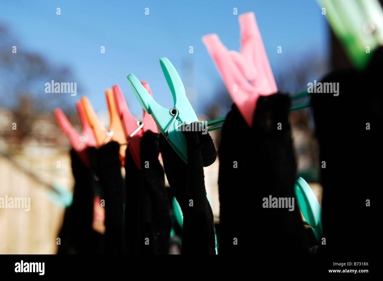 Coloured clothes pegs on a line Stock Photo - Alamy