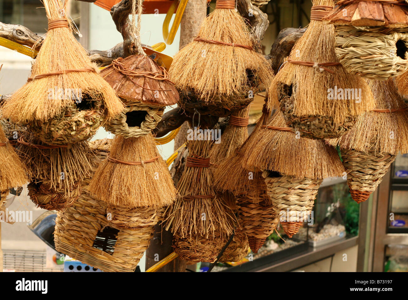 Pet stall hi-res stock photography and images - Alamy