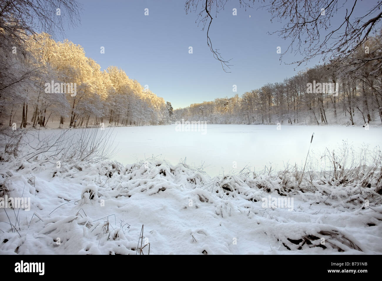 Regenbogensee Wandlitz Barnim Brandenburg Germany Stock Photo - Alamy