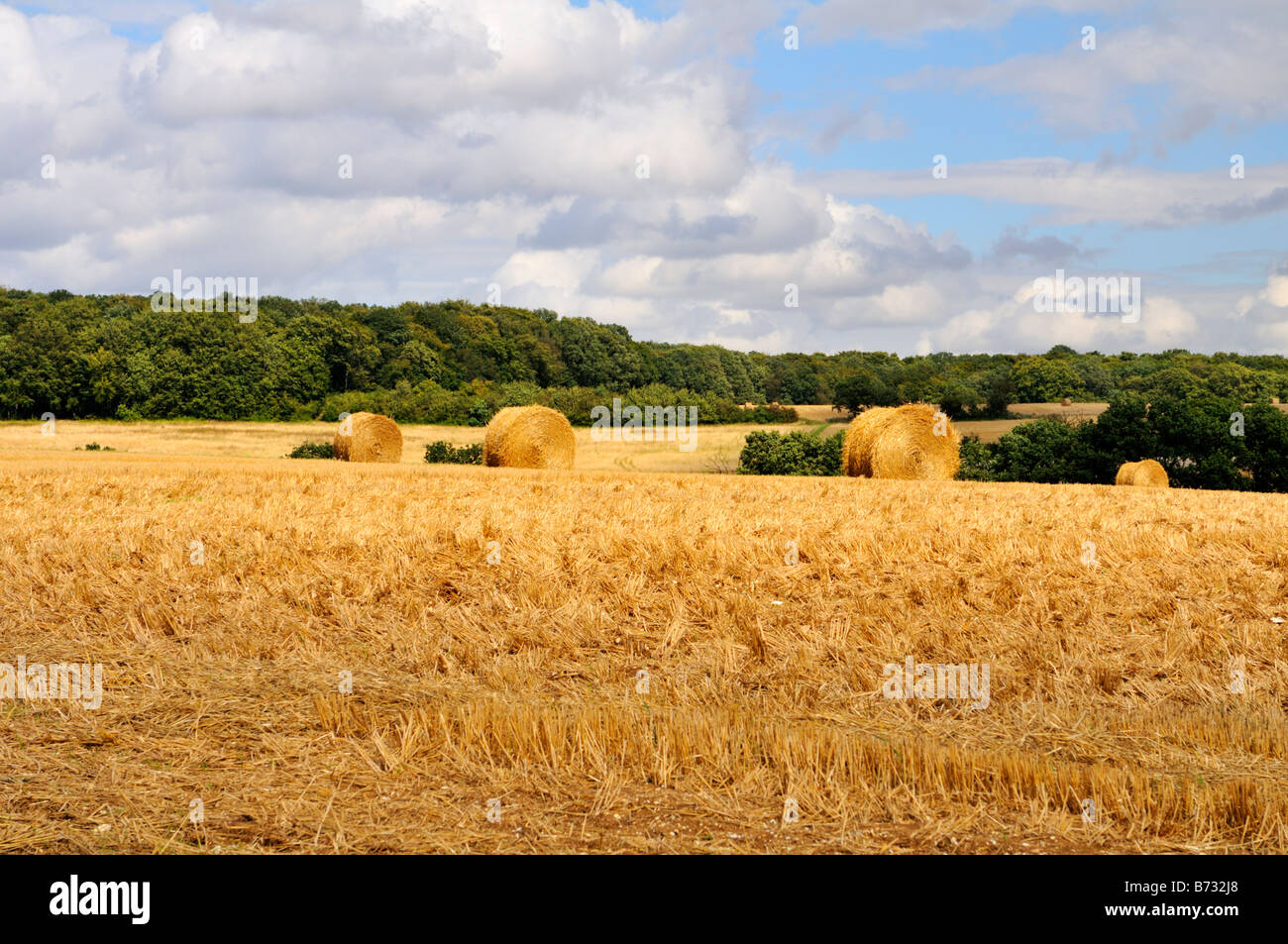 Countryside france agriculture hi-res stock photography and images - Alamy
