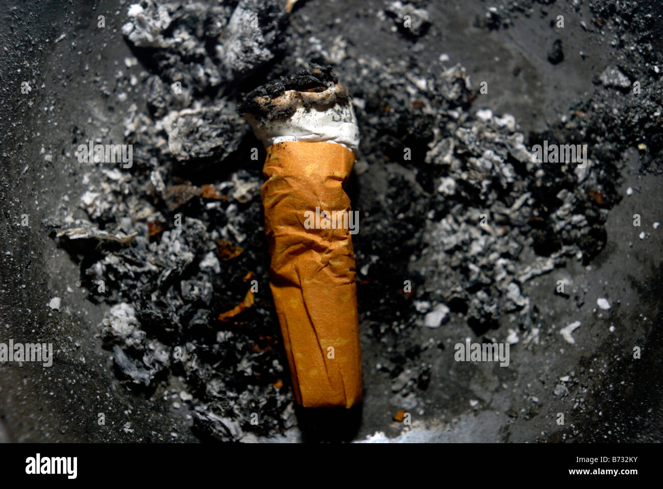 cigarette stub in the ash tray Stock Photo - Alamy