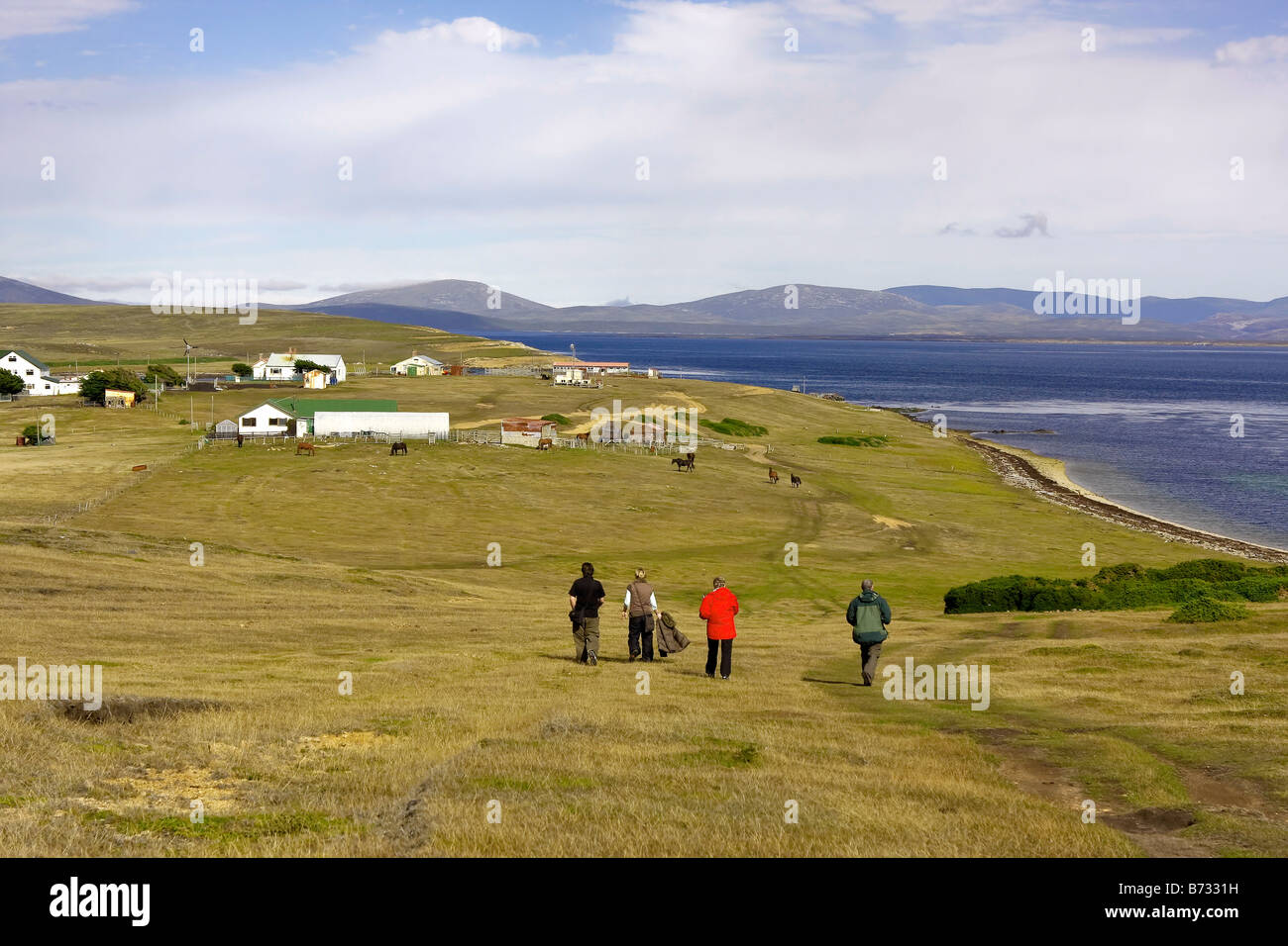 Pebble Island Landscape Falkland Islands Stock Photo - Alamy