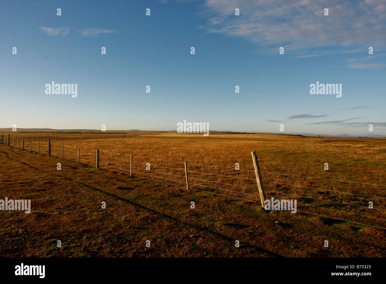 Pebble Island Landscape Falkland Islands Stock Photo - Alamy