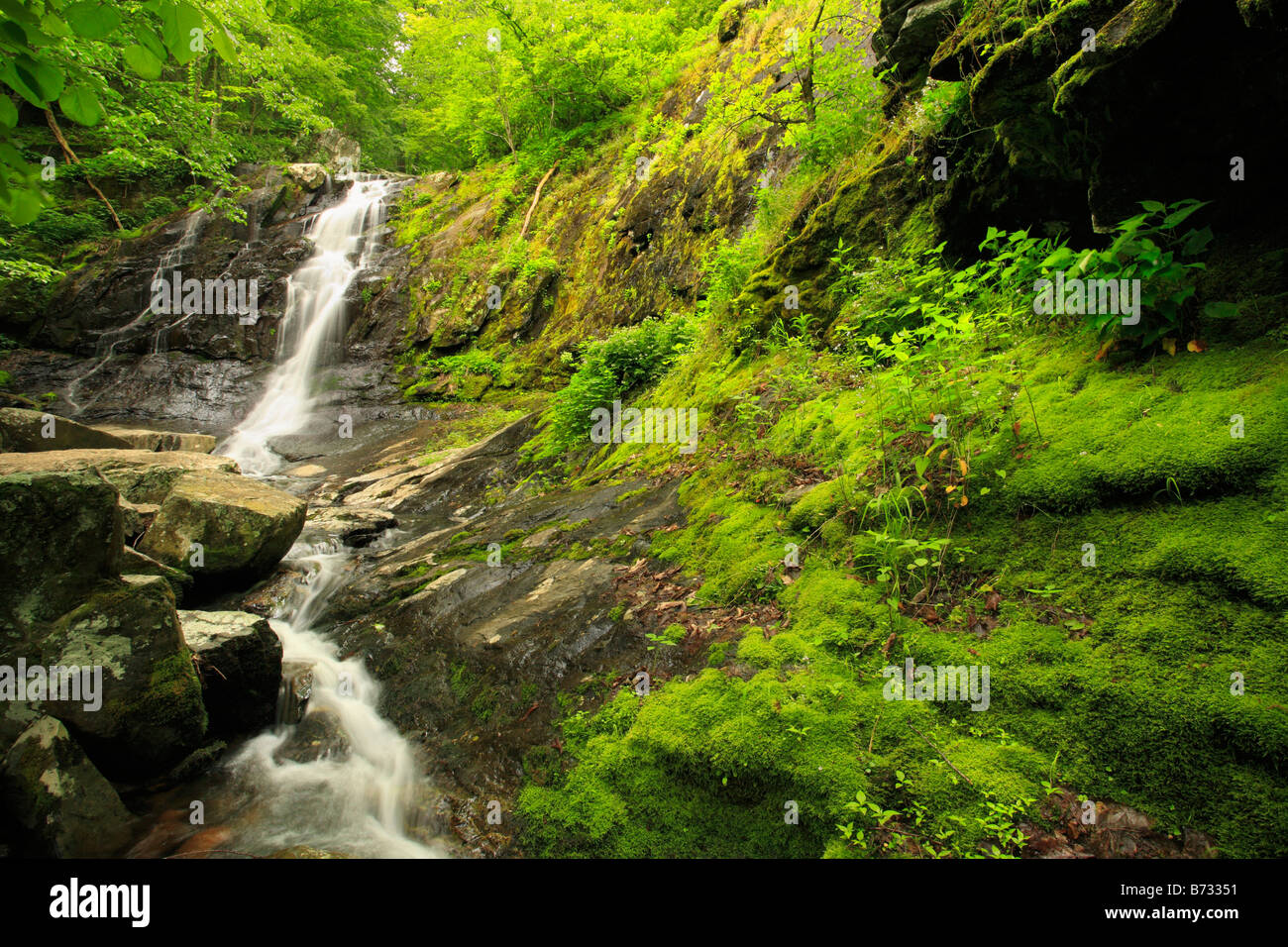 Jones Run Waterfall, Shenandoah National Park, Virginia, USA Stock ...