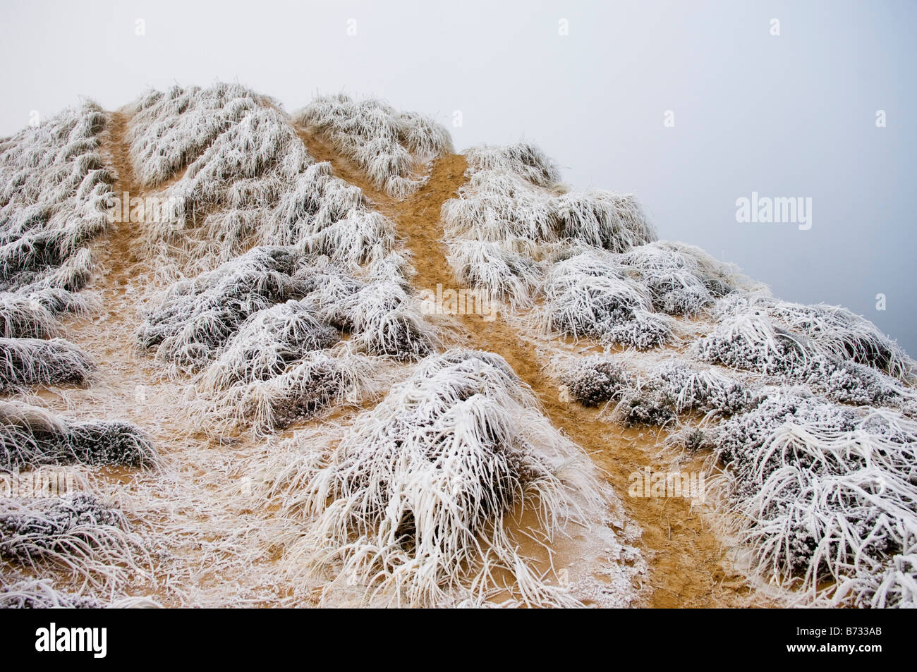 Frozen sand dune Findhorn Stock Photo - Alamy