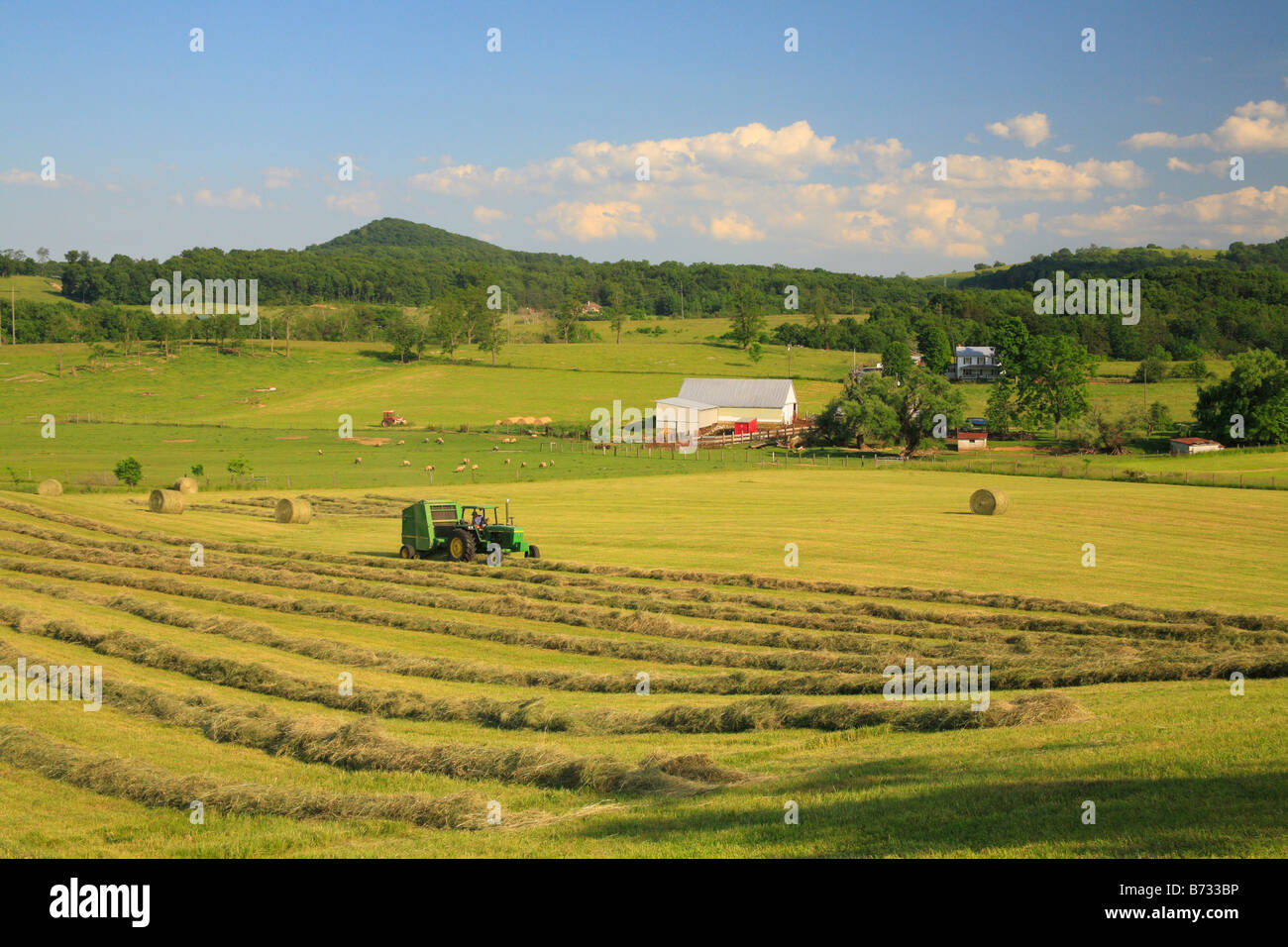 Must farm hi-res stock photography and images - Alamy