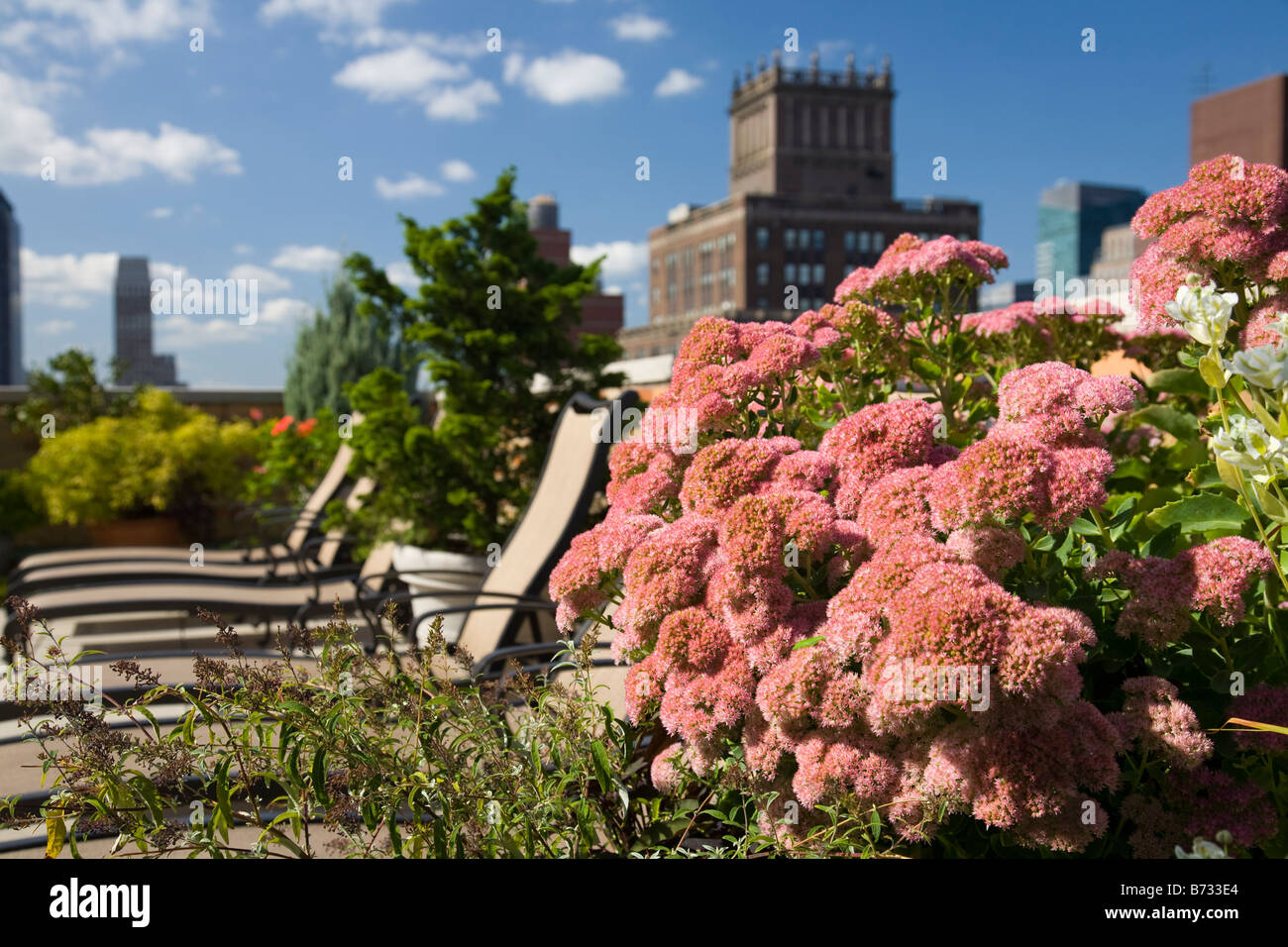 Urban Rooftop Terrace Garden, NYC (Summer/Winter Series Stock Photo - Alamy