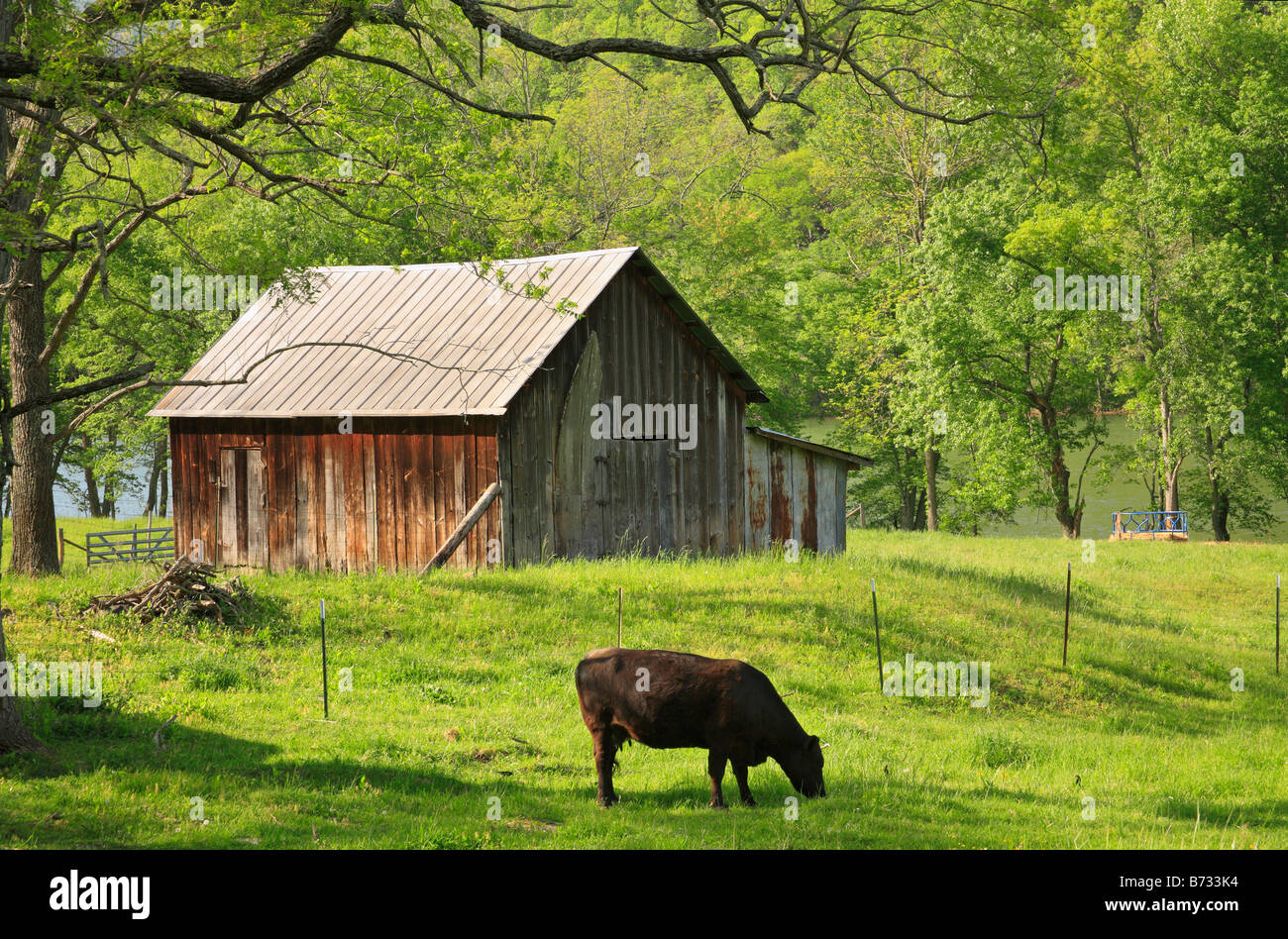 Farm in New River Gorge National River, West Virginia, USA Stock Photo ...