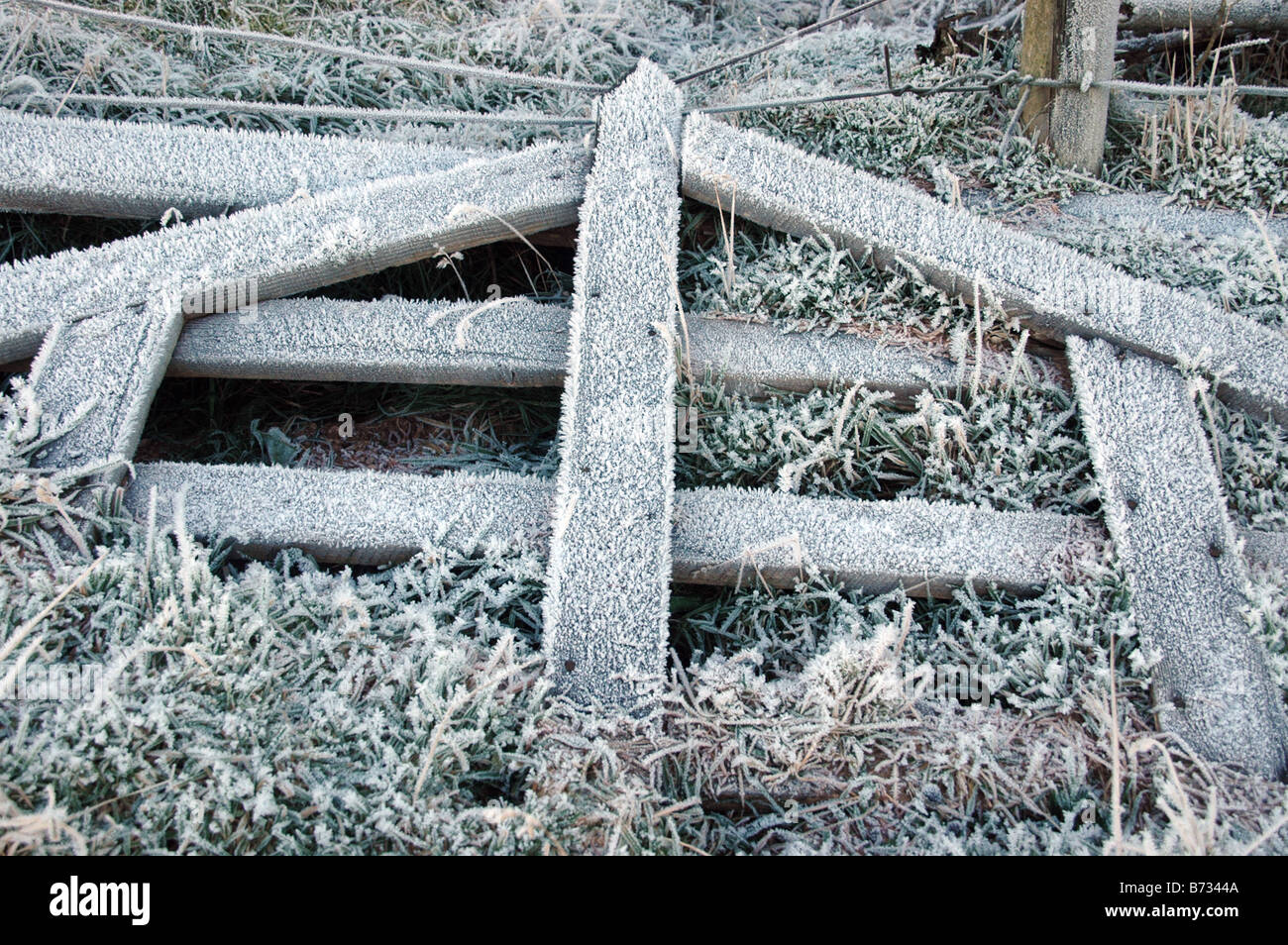 Broken gate hi-res stock photography and images - Alamy
