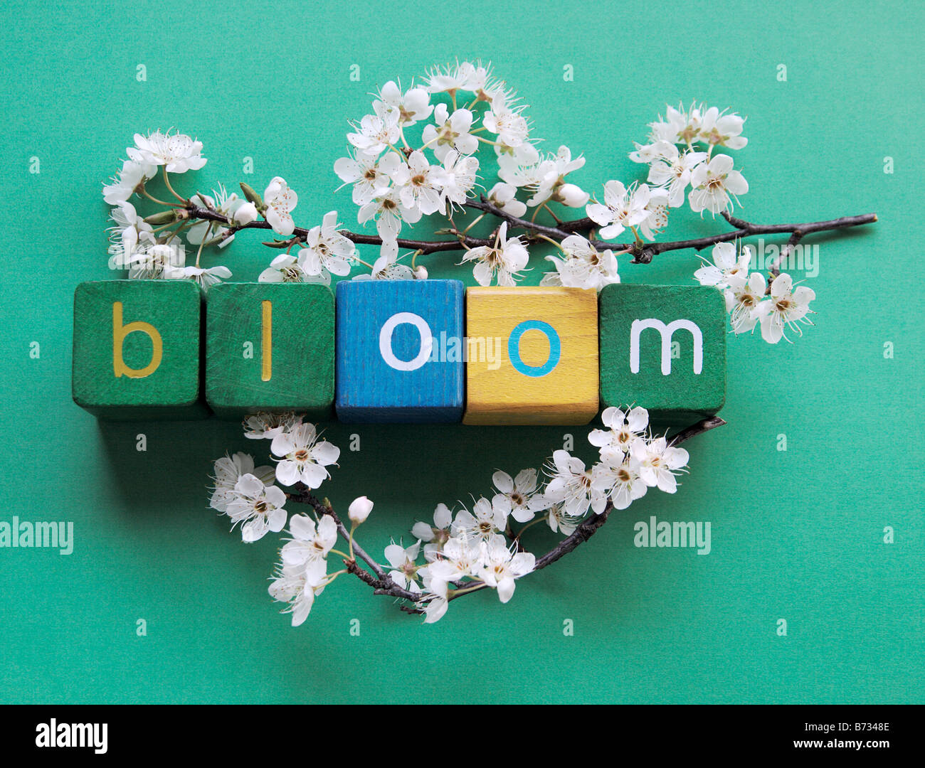 the word 'bloom' in block letters with plum blossoms Stock Photo - Alamy