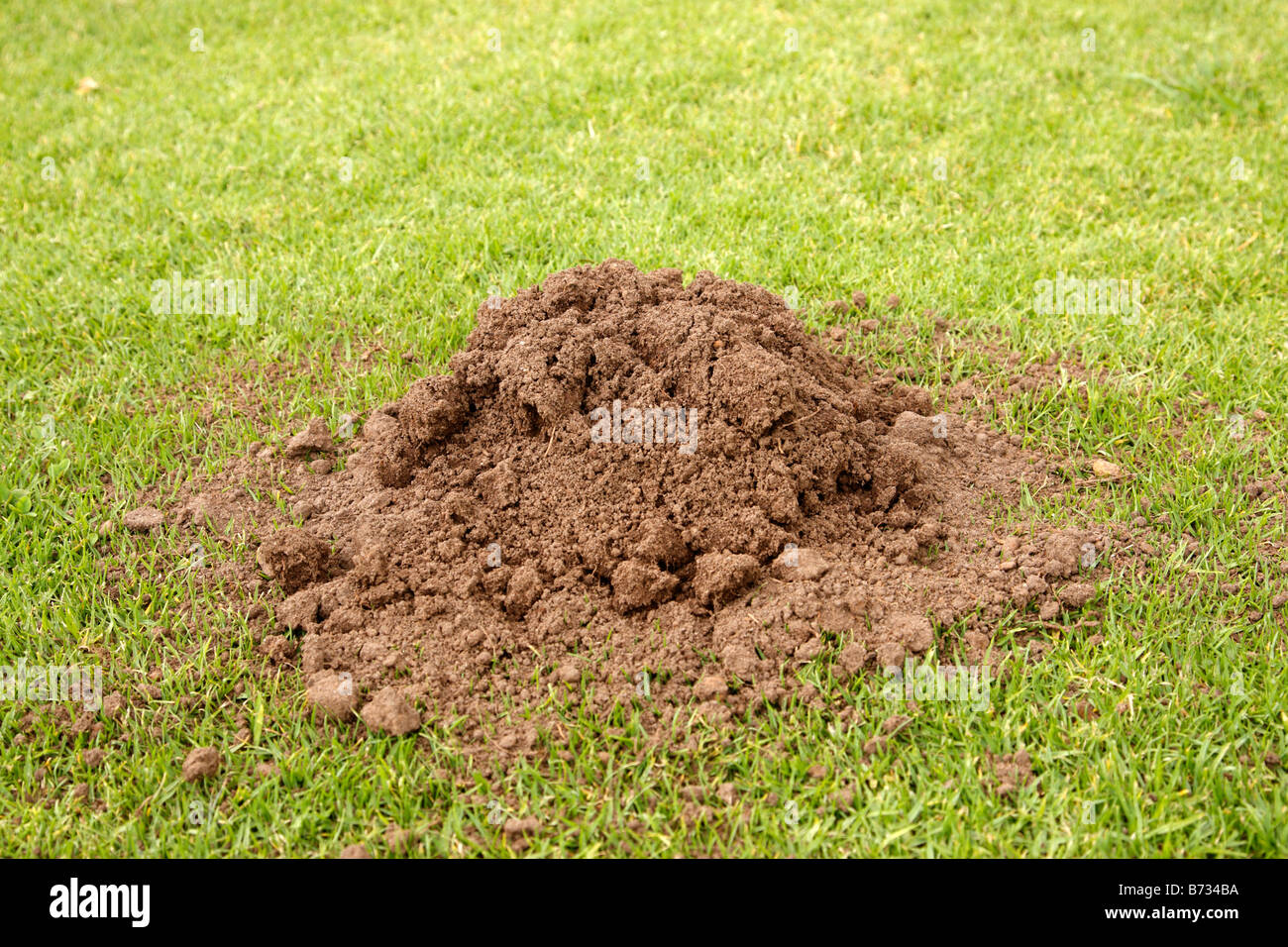 Mound of loose soil hi-res stock photography and images - Alamy
