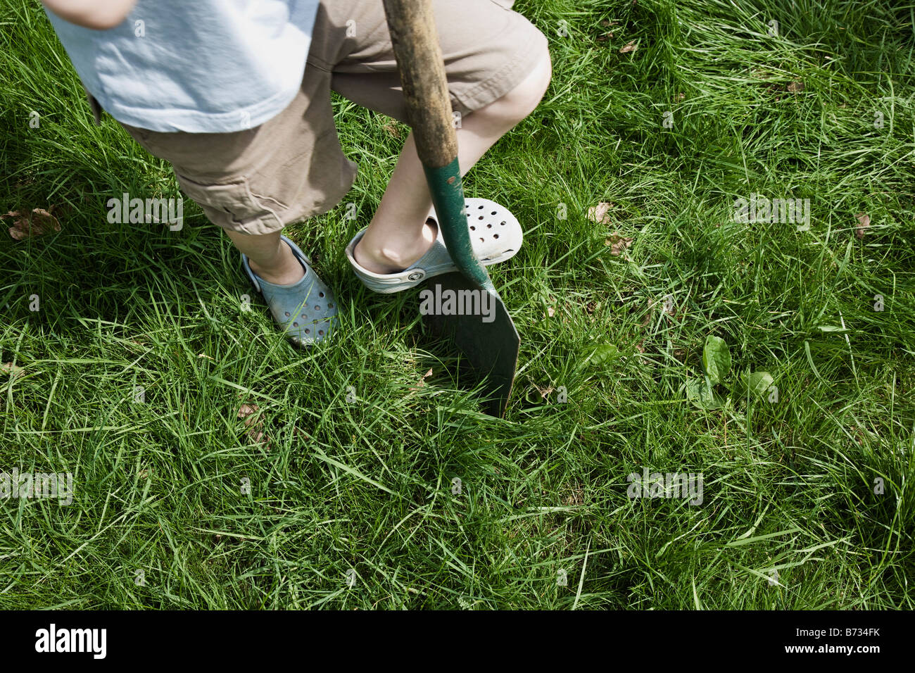 Boy digging a hole to plant a tree Stock Photo - Alamy