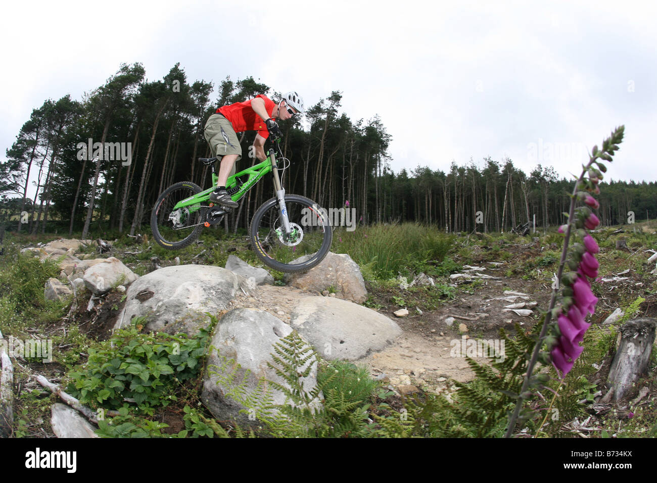 A Mountain Biker riding over rocky terrain Stock Photo - Alamy