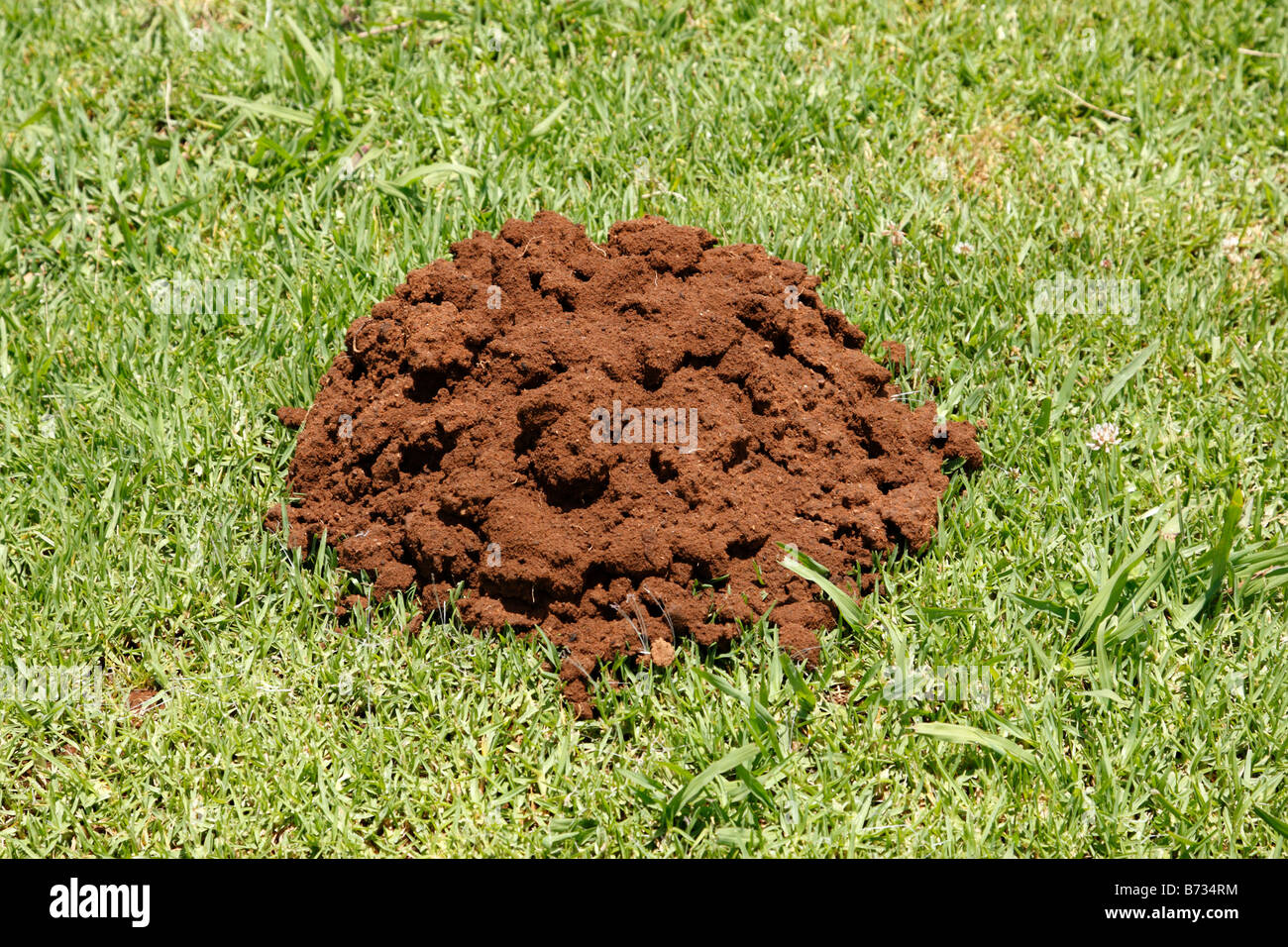 Conical mound of loose soil hi-res stock photography and images - Alamy