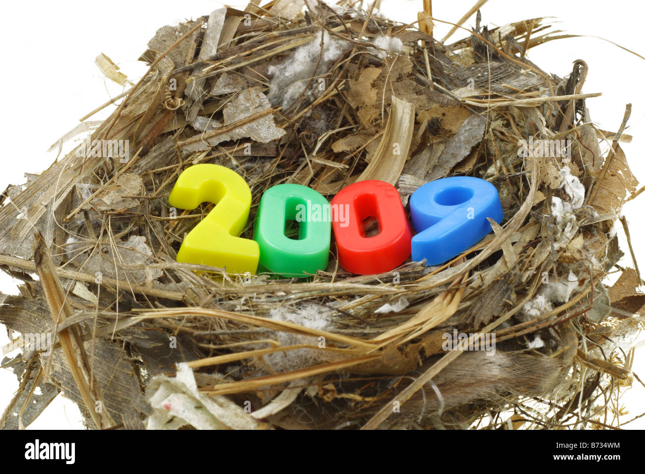 Plastic in nest hi-res stock photography and images - Alamy