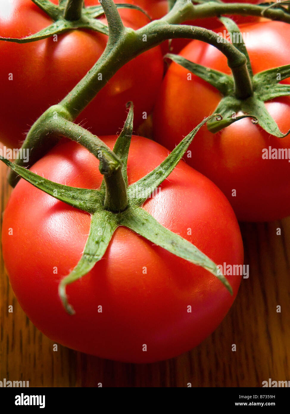 group of ripe tomatoes on vine Stock Photo - Alamy