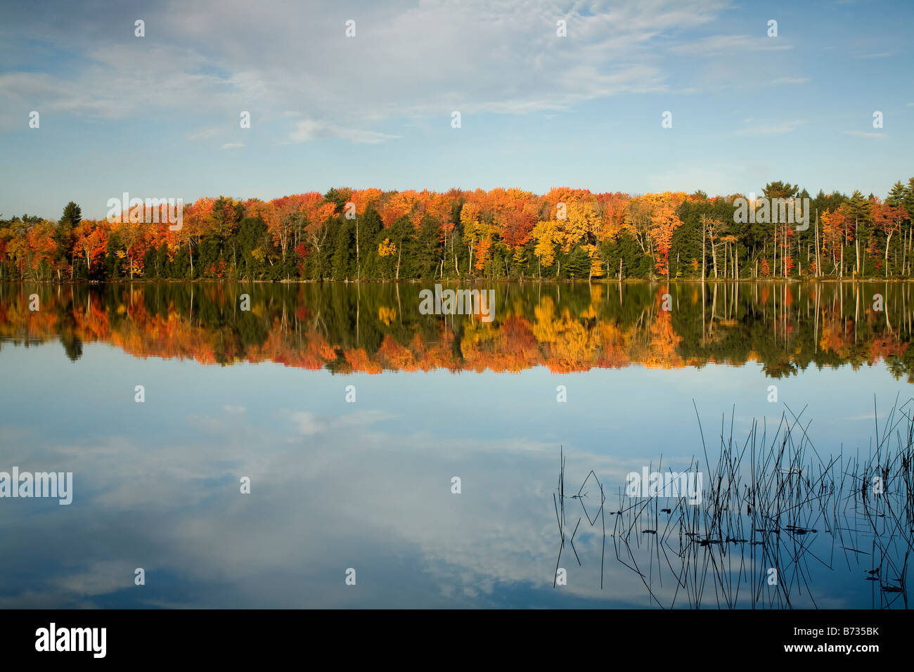 MICHIGAN - Small lake in the Hiawatha National Forest Stock Photo - Alamy