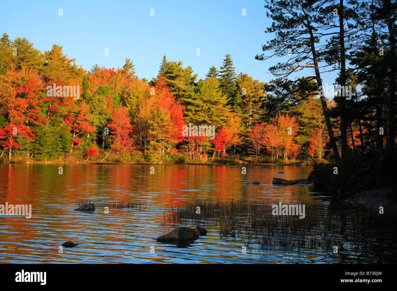 Bubble Pond, Acadia National Park, Maine, USA Stock Photo - Alamy