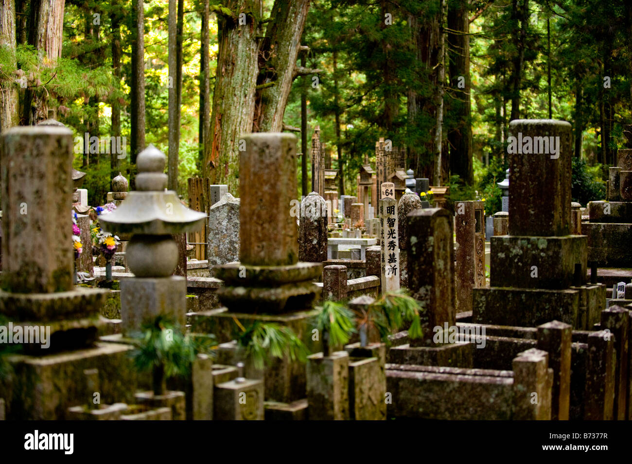 Gravestones in Okunoin Cemetery on Mount Koya in Koyasan, Wakayama ...