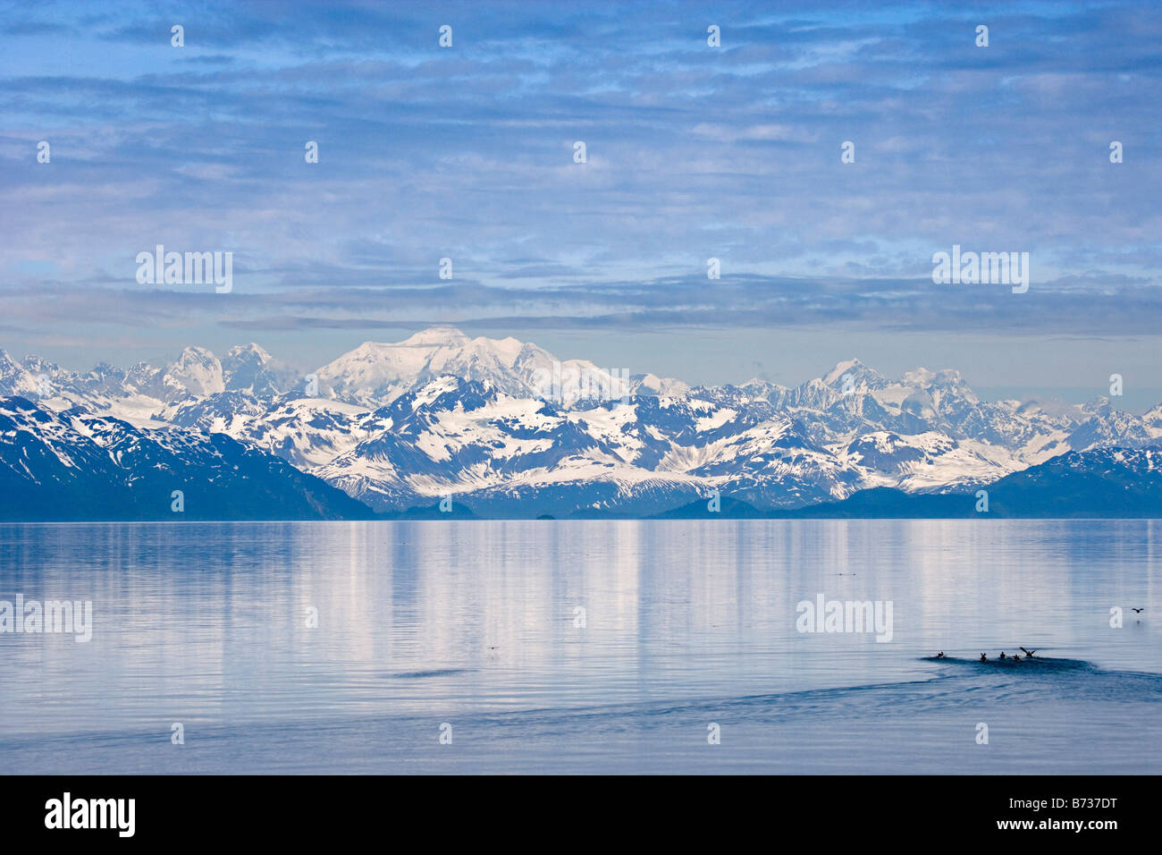 Fairweather Range - Glacier Bay National Park, Alaska Stock Photo - Alamy