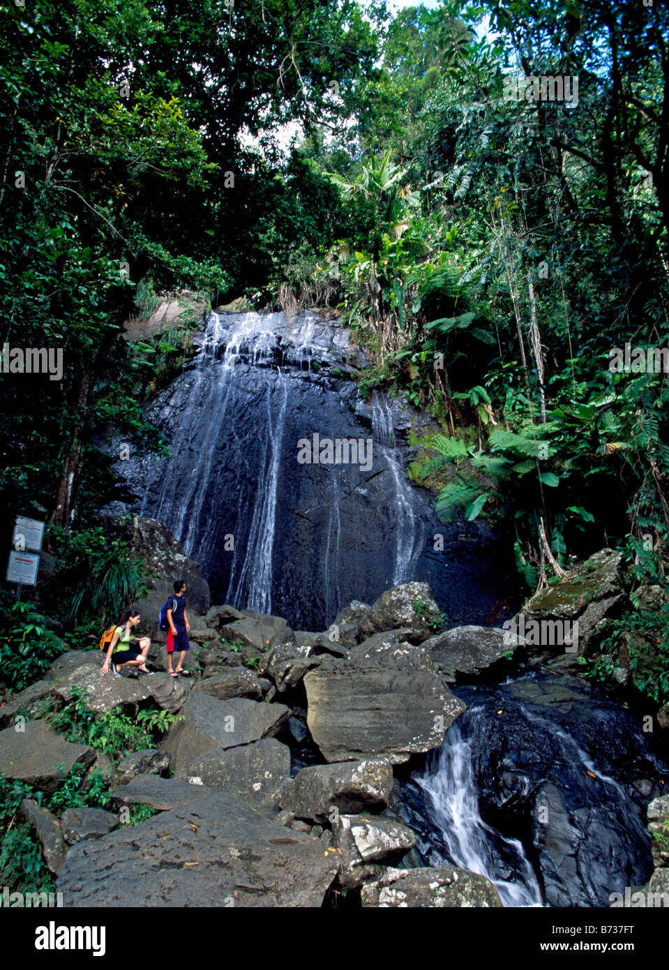 Waterfall in El Yunque National Park Puerto Rico Caribbean Stock Photo ...