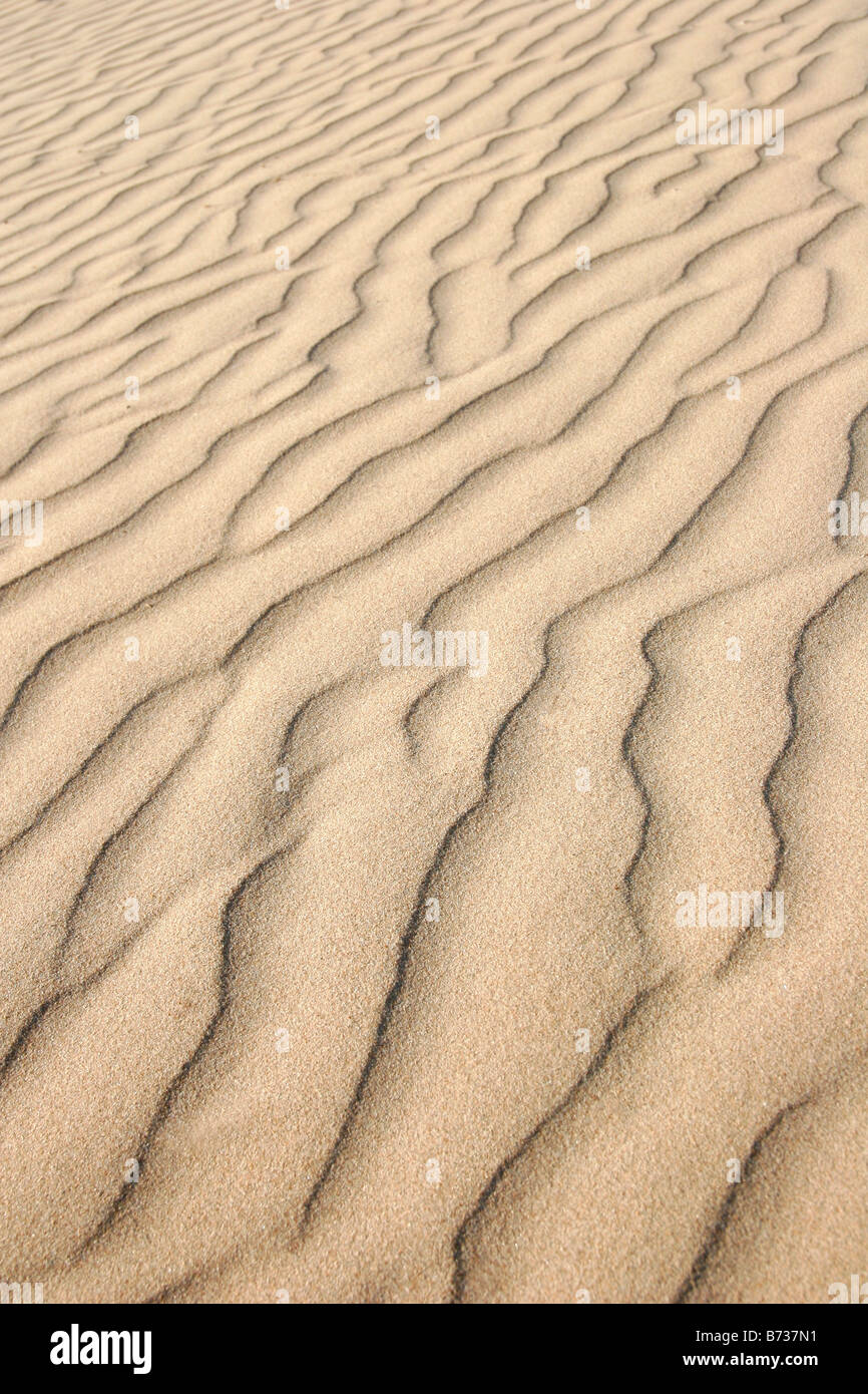 Desert elements hi-res stock photography and images - Alamy