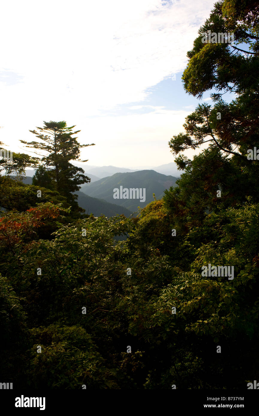 The View from Mount Koya in Koyasan, Wakayama, Japan Stock Photo - Alamy