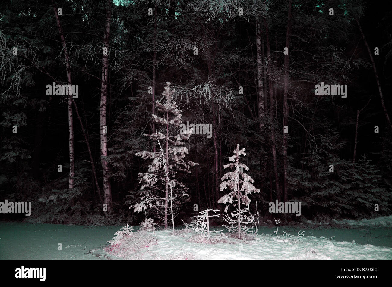 Norwegian winter scene hi-res stock photography and images - Alamy