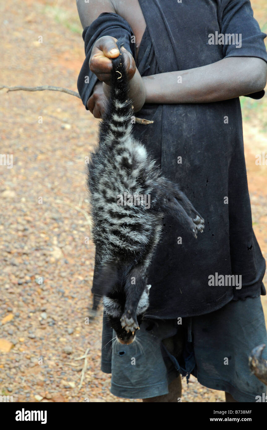 Bush meat market hi-res stock photography and images - Alamy