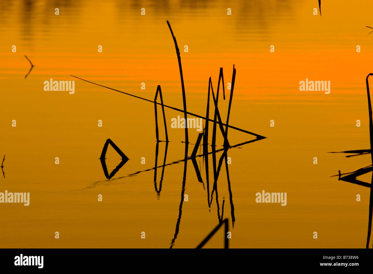 Reeds by lake hi-res stock photography and images - Alamy