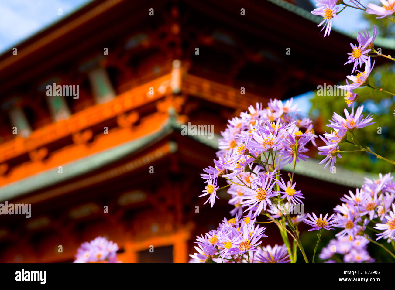 Detail of the Daimon, the Great Gate in Koyasan, Wakayama, Japan Stock ...