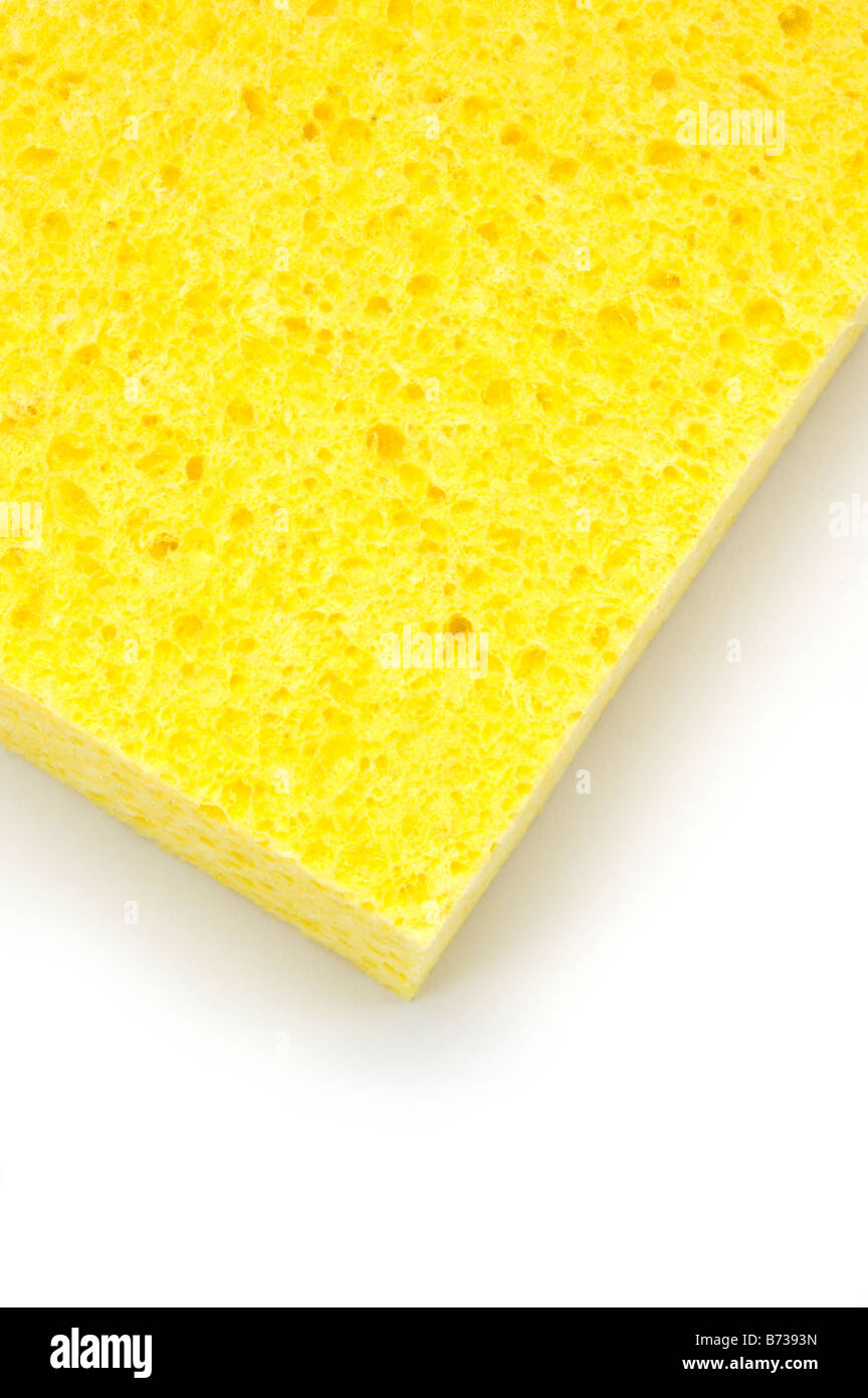 Cellulose sponges hi-res stock photography and images - Alamy