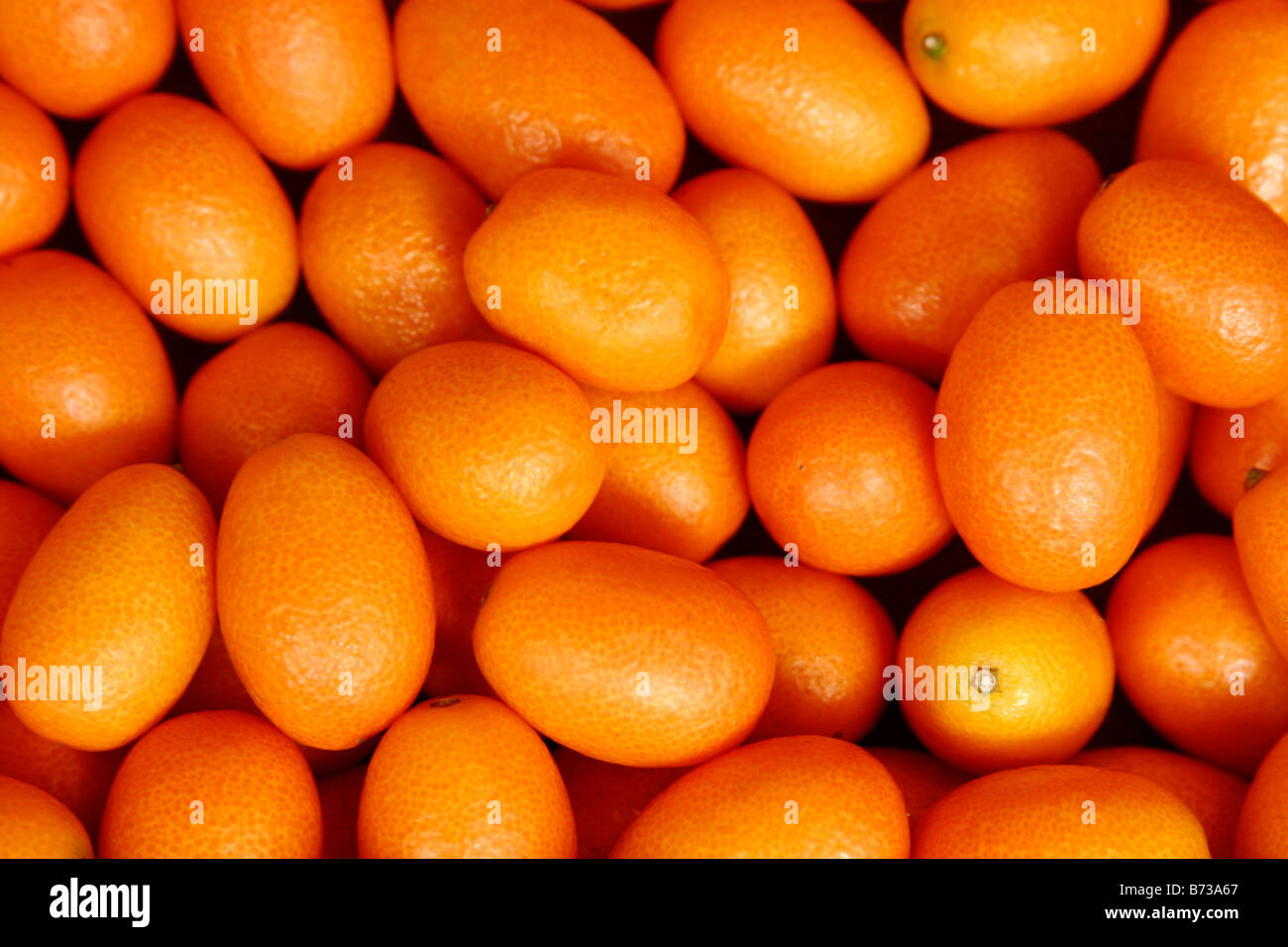 Orange small hi-res stock photography and images - Alamy