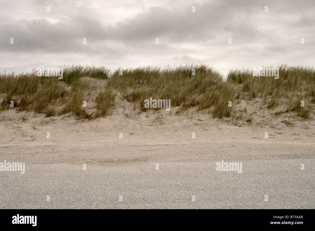 Sand dunes on the seafront on the island of Norderney in the German ...