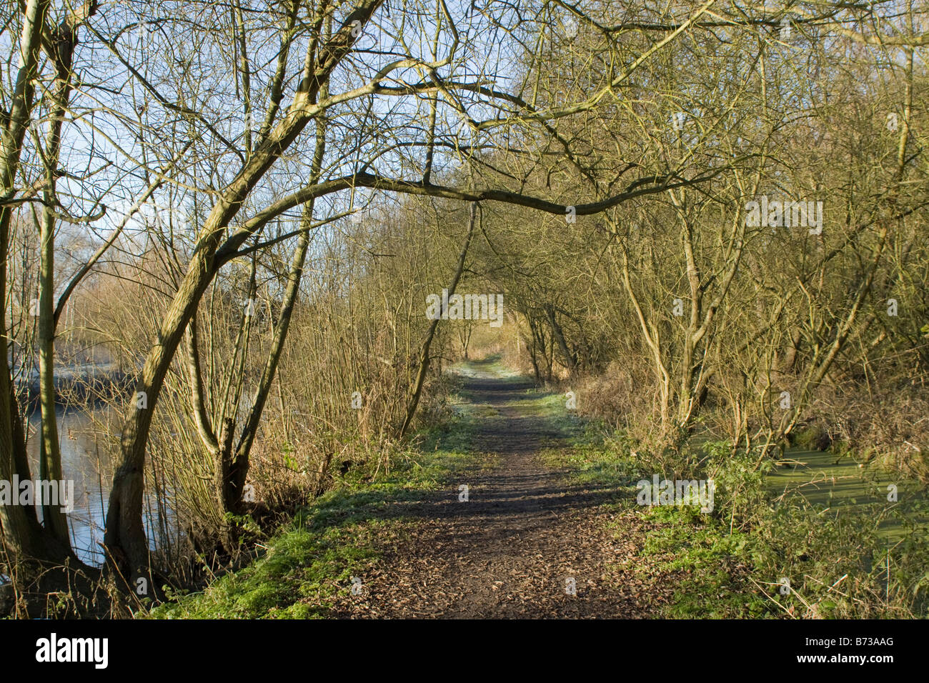country path along river bank Stock Photo - Alamy