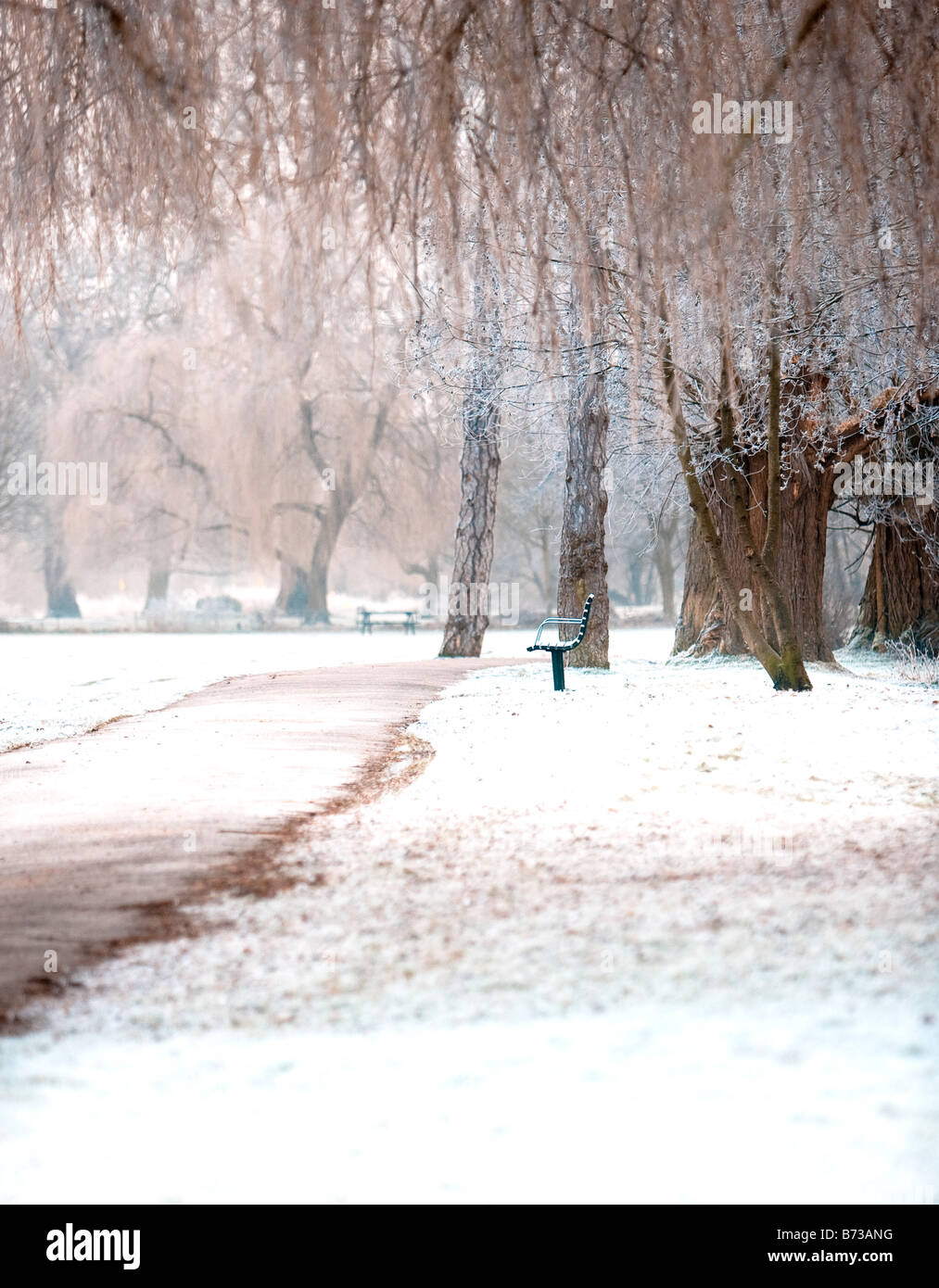 A uk park photographed on a cold frosty morning in January Stock Photo ...