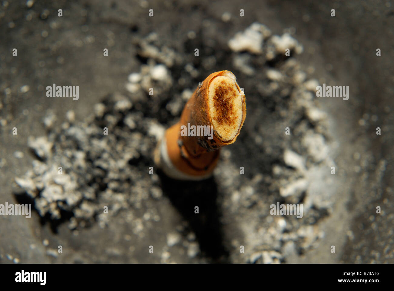 cigarette stub in the ash tray Stock Photo - Alamy