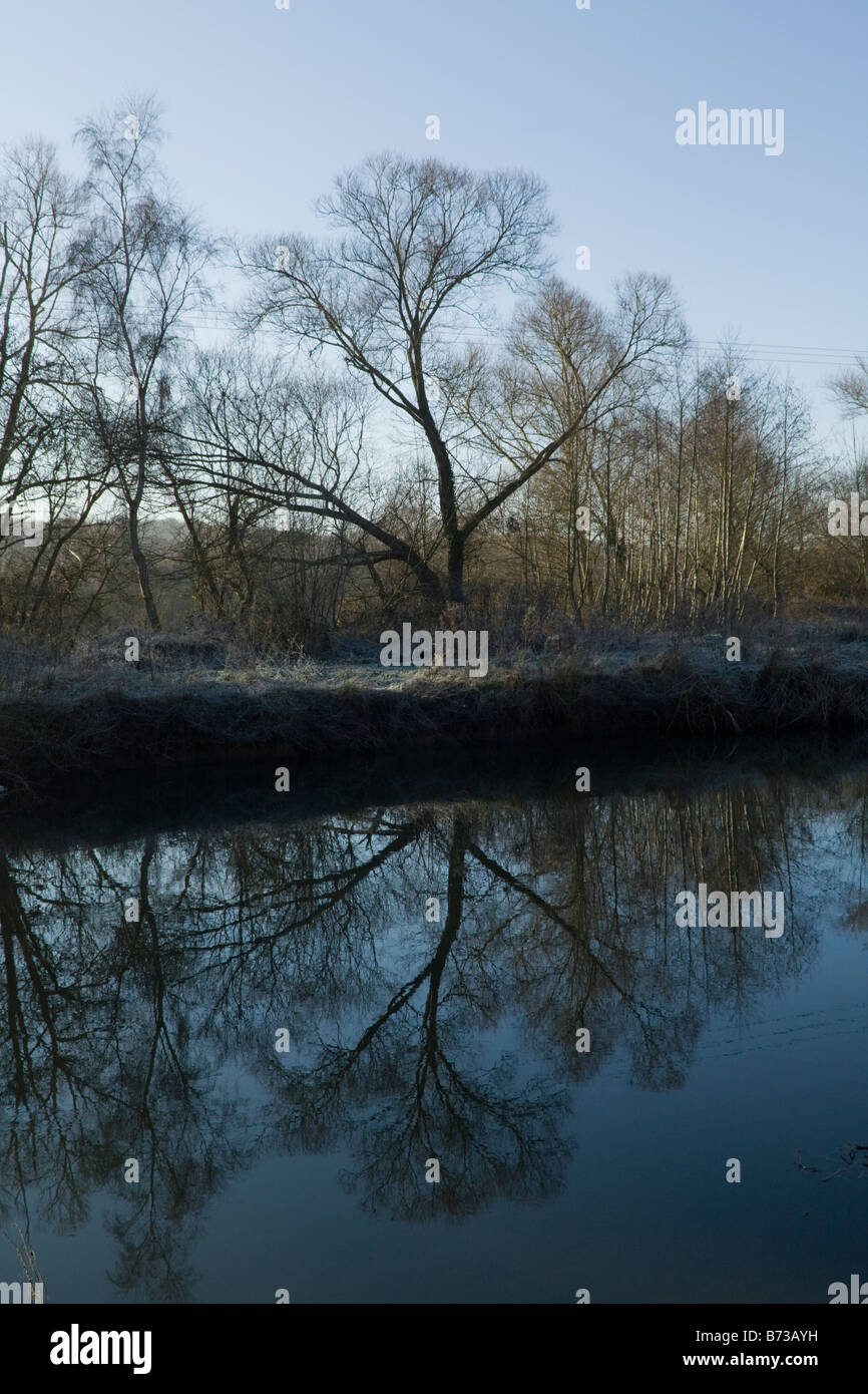 Tree branch reflected in water hi-res stock photography and images - Alamy