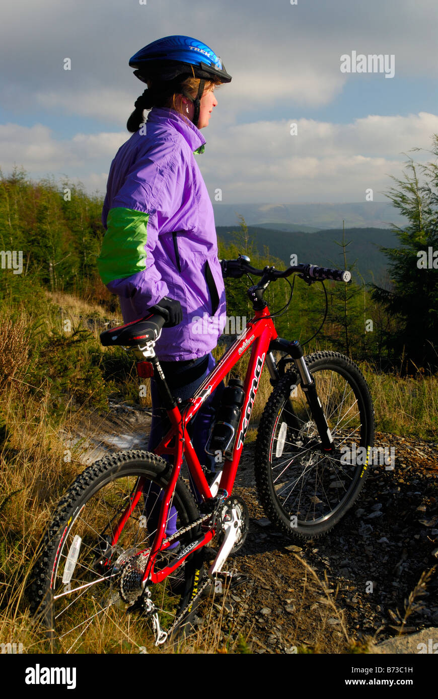 Mountain Biking Dyfi Forest Mid Wales Stock Photo - Alamy