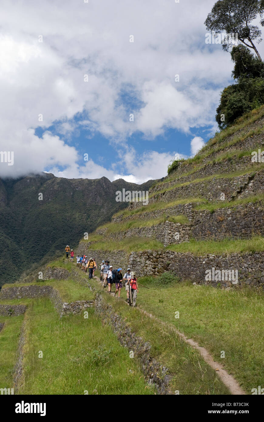 A tour group walks across ancient Incan terraces as part of the Inca ...