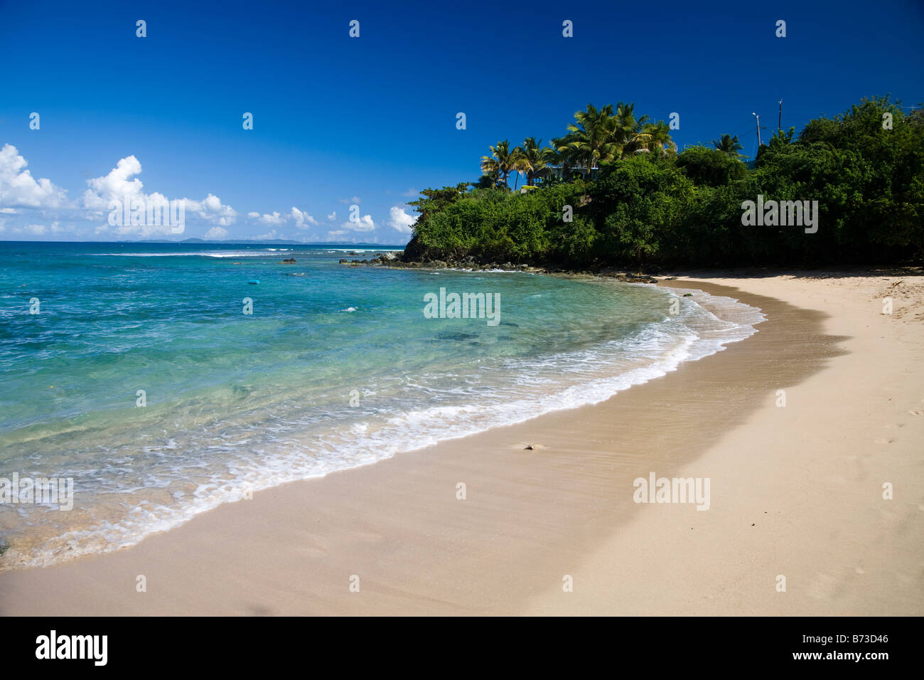 A beach in Vieques Puerto Rico Stock Photo - Alamy